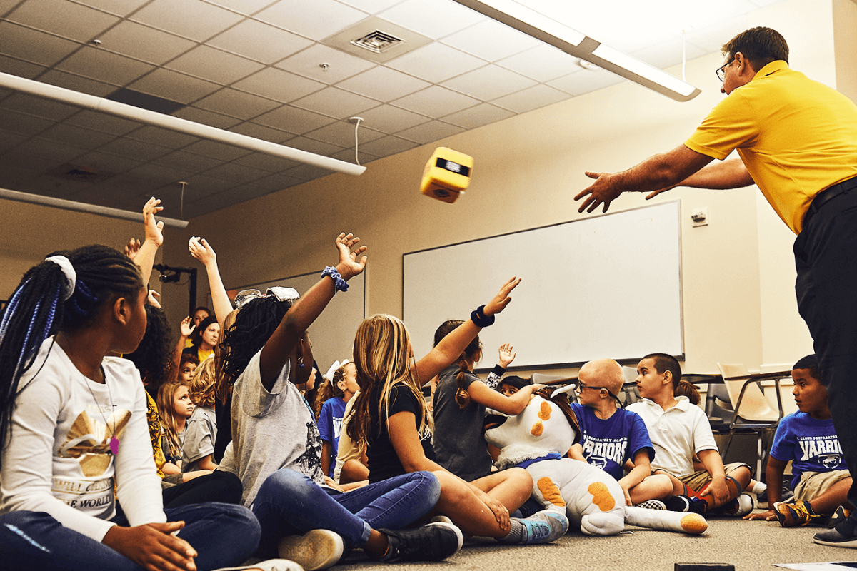 What Is Active Learning 